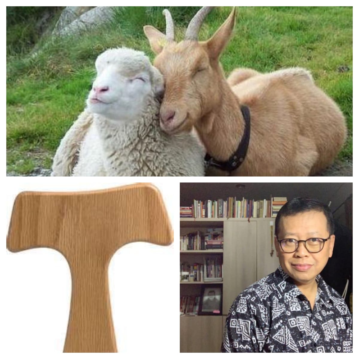 DOMBA – FSGM Indonesia